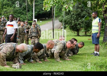 U.S. Army soldiers perform push ups during physical training at the ...