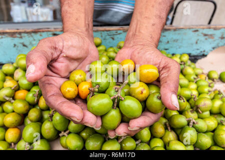 Chilli (also spelled Chili) plums for sale along Swan Street in ...