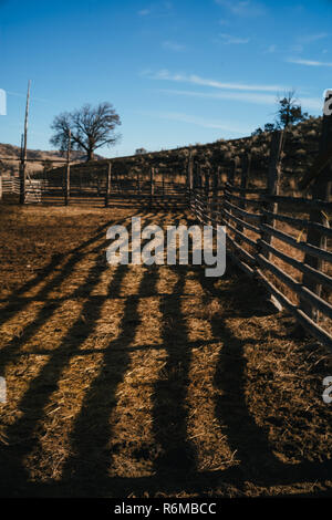 Vacant cattle stables and pens on a ranch Stock Photo - Alamy