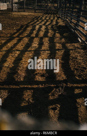 Vacant cattle stables and pens on a ranch Stock Photo - Alamy