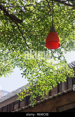 Blurred image Decorative outdoor string lights hanging in the garden at ...