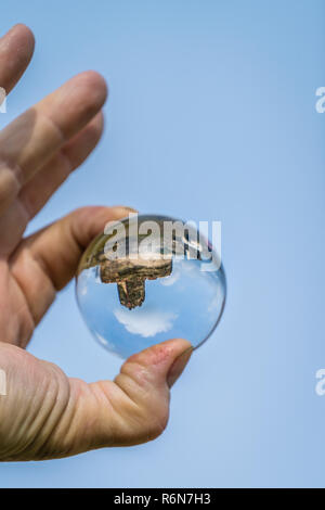 Crystal ball with sight in palm of hands Stock Photo - Alamy