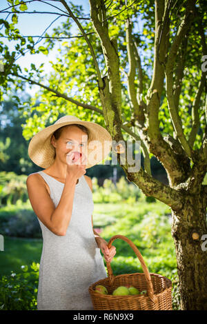 Pretty woman gardener smiles, looking at camera, while picking ripe ...