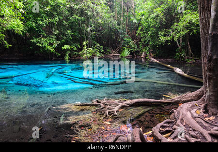 Emerald blue pool (Sra Morakot) in Krabi province, Thailand. Beautiful ...