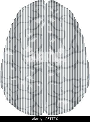 Human brain line art illustration Stock Vector Image & Art - Alamy