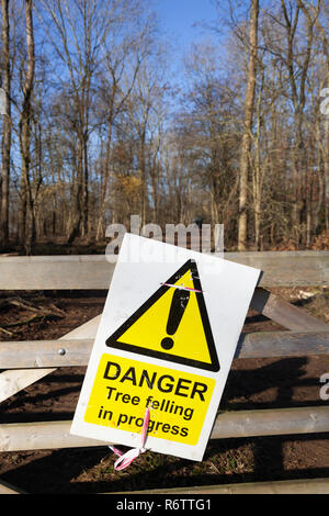 warning tree felling in progress sign on trees near Win Green on the ...