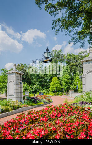 Flowers bloom at the entrance to Emory University, July 7, 2014, in ...