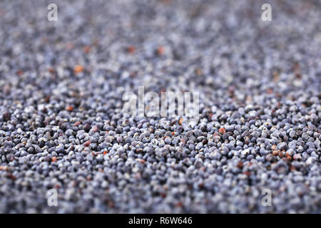 spoon of whole poppy seeds - close up Stock Photo - Alamy