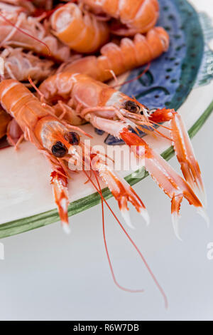 New ceramic plates on white background. Tableware Stock Photo - Alamy
