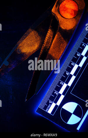 Difficult to seen under daylight, fingerprints on scissors glow orange ...