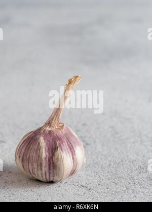Garlic Bulb on gray cement background. Garlic with copy space Stock ...
