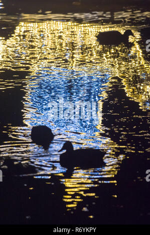 Christmas decorations in Park Oliwski (Oliwa Park) in Gdansk, Poland ...