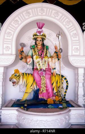 Goddess Durga sitting riding tiger eight hands carrying conch shell ...