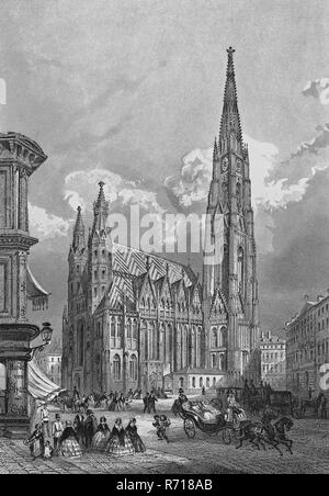 Austria. Vienna. St. Stephen's Cathedral. Engraving. 19th century Stock ...