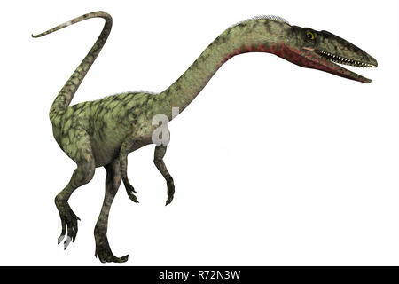 Coelophysis bauri, a prehistoric era dinosaur from the Late Triassic ...