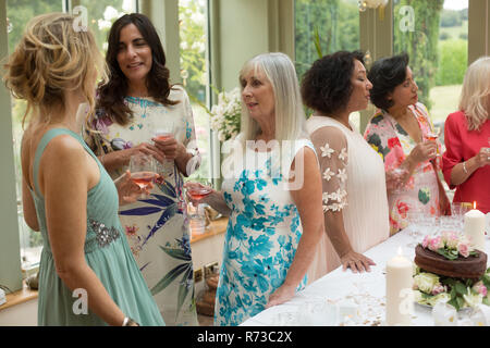 Guests At Wedding Reception Stock Photo - Alamy