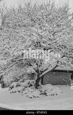 Stephen Gray (C) 2014 | SEGG Media | http://media.seggmedia.com Stock ...