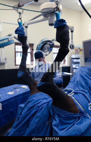 Surgeon examining a horse in operation theatre Stock Photo - Alamy