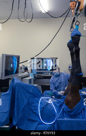 Female surgeon operating a horse in operation theatre Stock Photo - Alamy