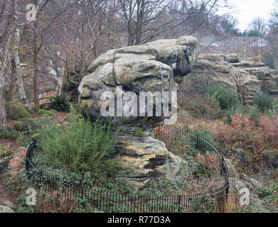 Toad Rock in Tunbridge Wells Stock Photo - Alamy