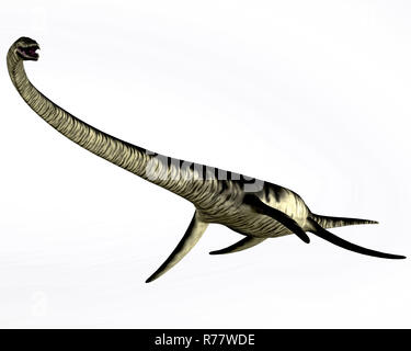 Elasmosaurus platyurus Swimming Stock Photo - Alamy