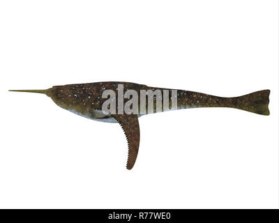 Devonian Doryaspis Fish Stock Photo - Alamy