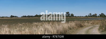 Dried up marsh land and nature reserve following a very dry summer in ...