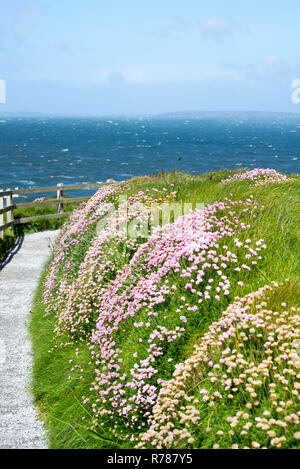 Panorama landscape of the Ballybunion Cliff Walk and rugged cliffs and ...