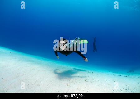 Freediver diving above a sandy bottom, Red Sea, Egypt Stock Photo - Alamy