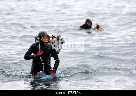 Ama divers returning from ocean, carrying their daily catch on their ...
