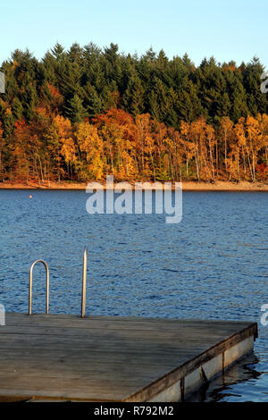 bever dam in autumn Stock Photo - Alamy