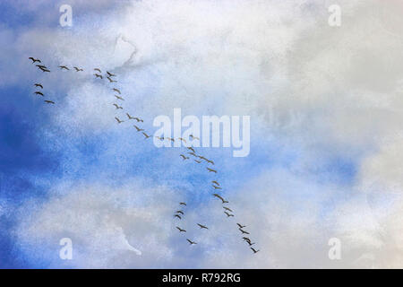 pulling birds texture concept Stock Photo - Alamy