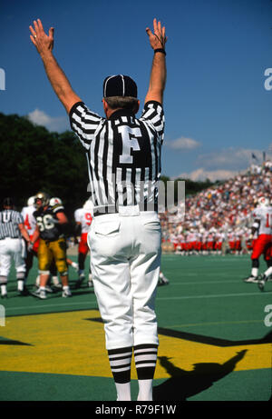 American football referee stands on the football field with a ball ...