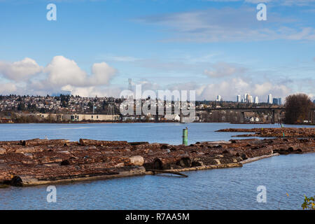 Log booms tethered on the North Arm of the Fraser River in Vancouver ...