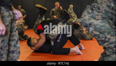 Shannon Ritch, mixed martial artist, and Robi Powers, American 300 ...