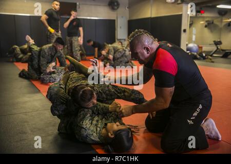 Shannon Ritch, mixed martial artist, and Robi Powers, American 300 ...