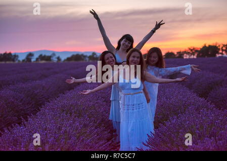 group of famales have fun in lavender flower field on beautyful sunset ...