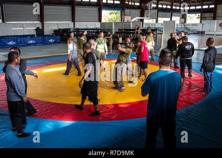 U.S. Marines and Palauan police officers present colors during the 70th ...