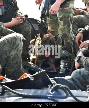 KEY WEST, Fla. (Nov. 27, 2018) Marine Raiders from Marine Corps Forces ...