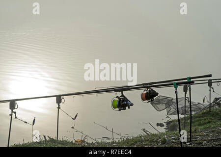 Carp fishing rod with a coil in the foreground and a bite alarm on the ...