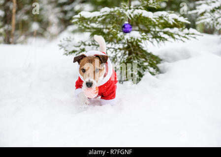 People wearing a Santa Clauses costume during the Christmas ...