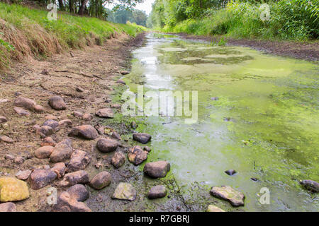 European brook with low water level in summer season Stock Photo - Alamy