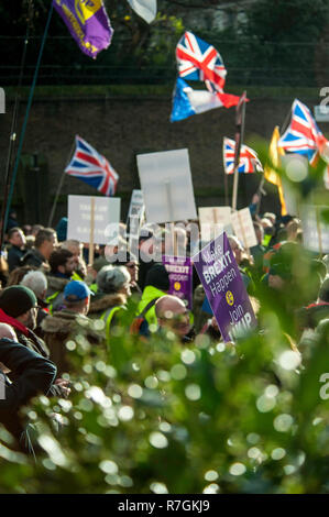 EDL Brexit means Exit March Dec 9th 2018 Stock Photo - Alamy
