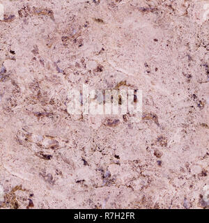 Seamless white quartz texture pattern. The subtle texture is tileable ...