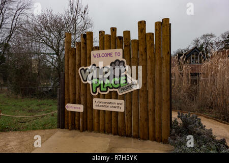 The Wild Place Project Bristol Zoo Red River Hog Stock Photo - Alamy