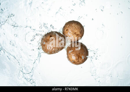 Mushrooms Water Splash on white background Stock Photo - Alamy