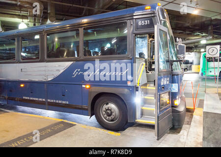 Greyhound bus at South Station bus station, Boston, Massachusetts, USA ...