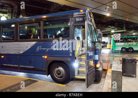 Greyhound bus at South Station bus station, Boston, Massachusetts, USA ...