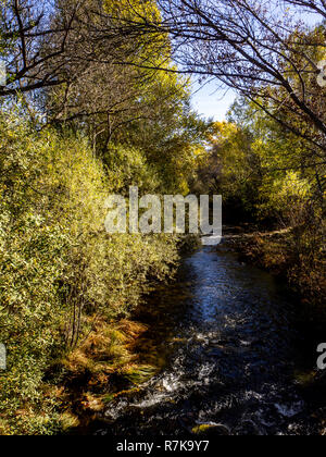 River of mountain crossing a forest. Sunny day Stock Photo - Alamy