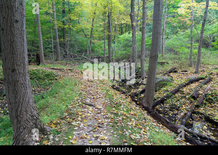 . Tallman Mountain State Park, New York Stock Photo - Alamy